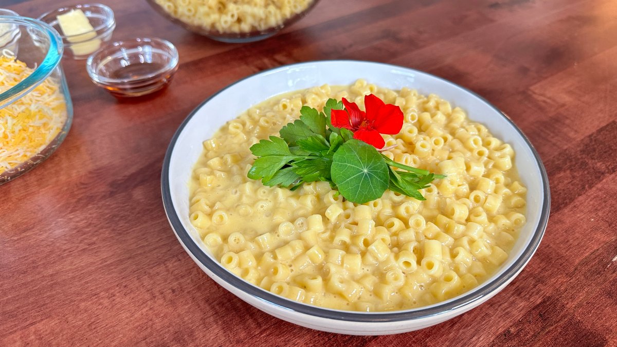 No bake mac and cheese – NBC Connecticut