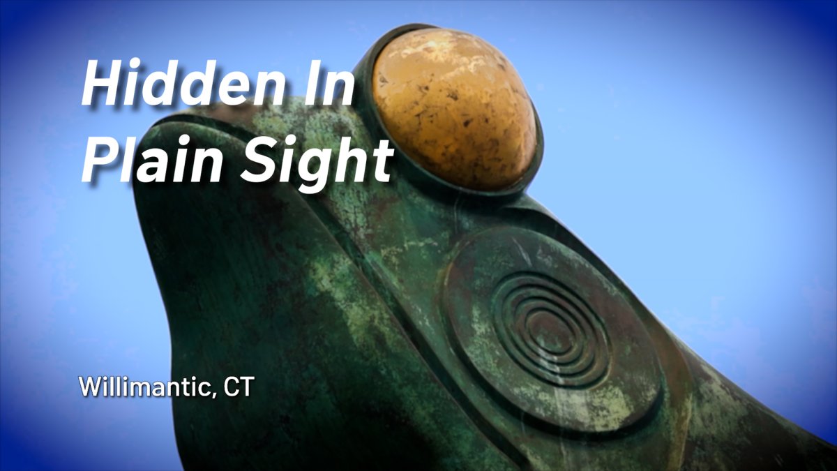 Hidden In Plain Sight: Great Frog Fight – NBC Connecticut