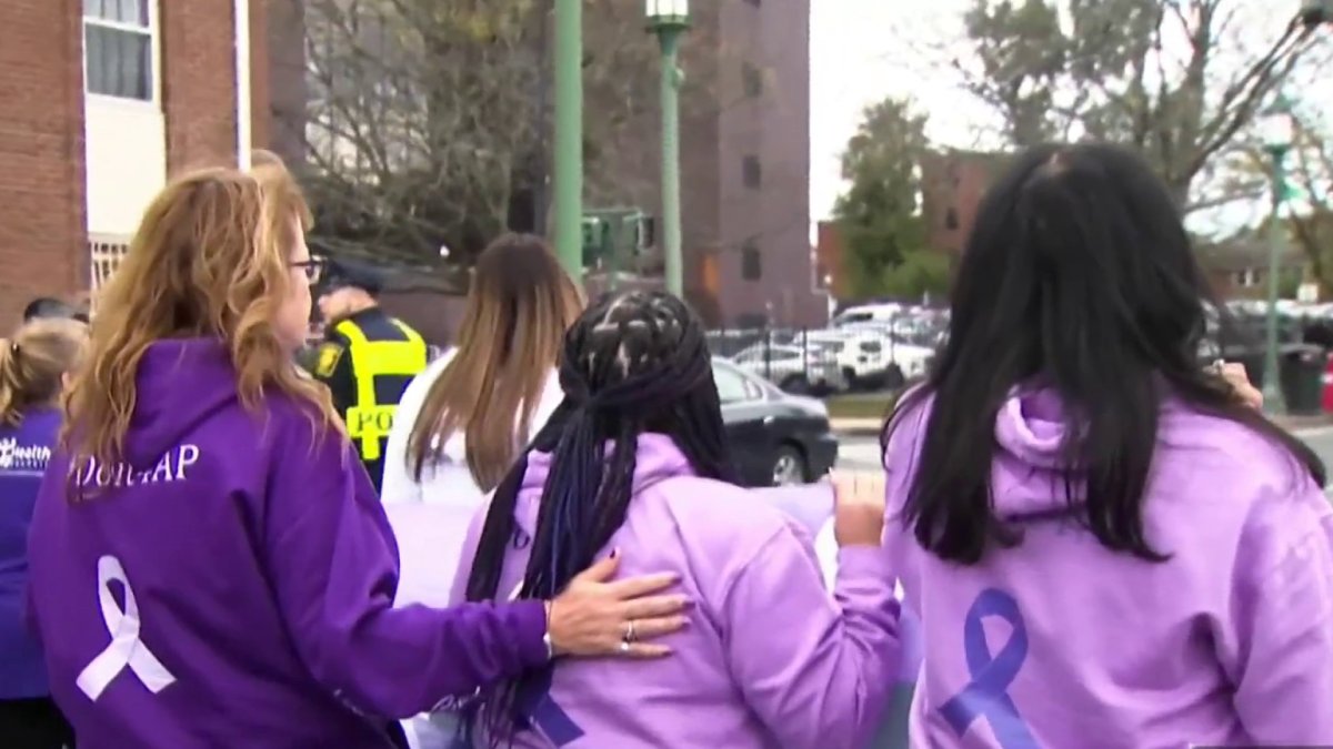 Dozens call for action in Hartford for Go Purple Day – NBC Connecticut