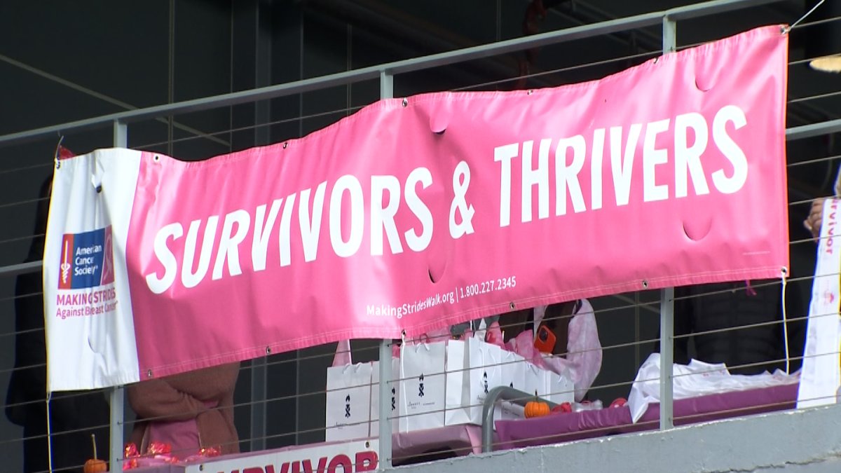 Hundreds participate in Making Strides Against Breast Cancer walk in ...