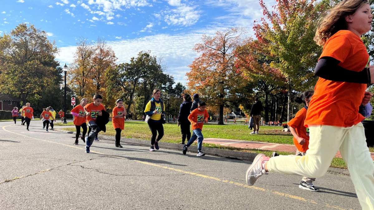 850 students receive medals after reaching marathon or half-marathon ...