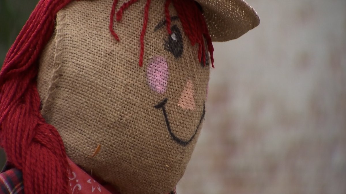 Handmade scarecrows on display in Downtown Wethersfield – NBC Connecticut