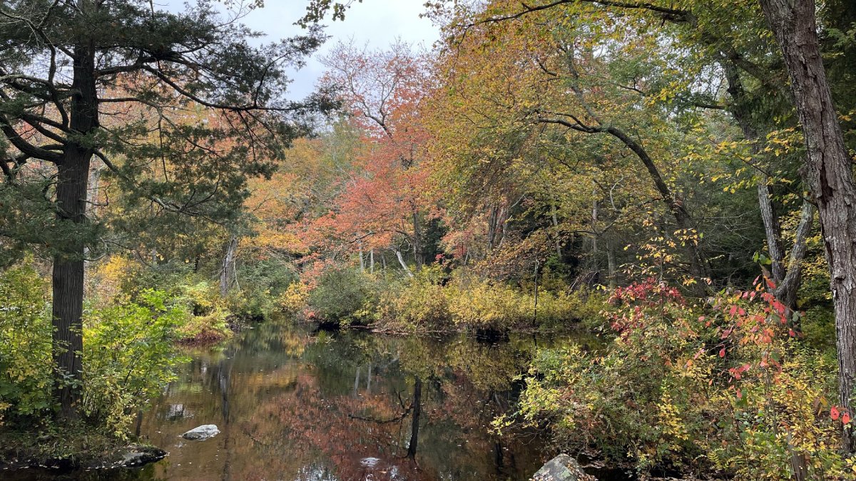 10 scenic Fall foliage drives and hikes in Connecticut – NBC Connecticut