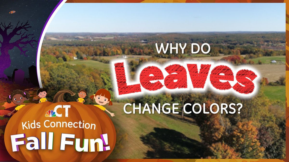 Kids Connection ‘Fall Fun’ – Why do leaves change colors? – NBC Connecticut