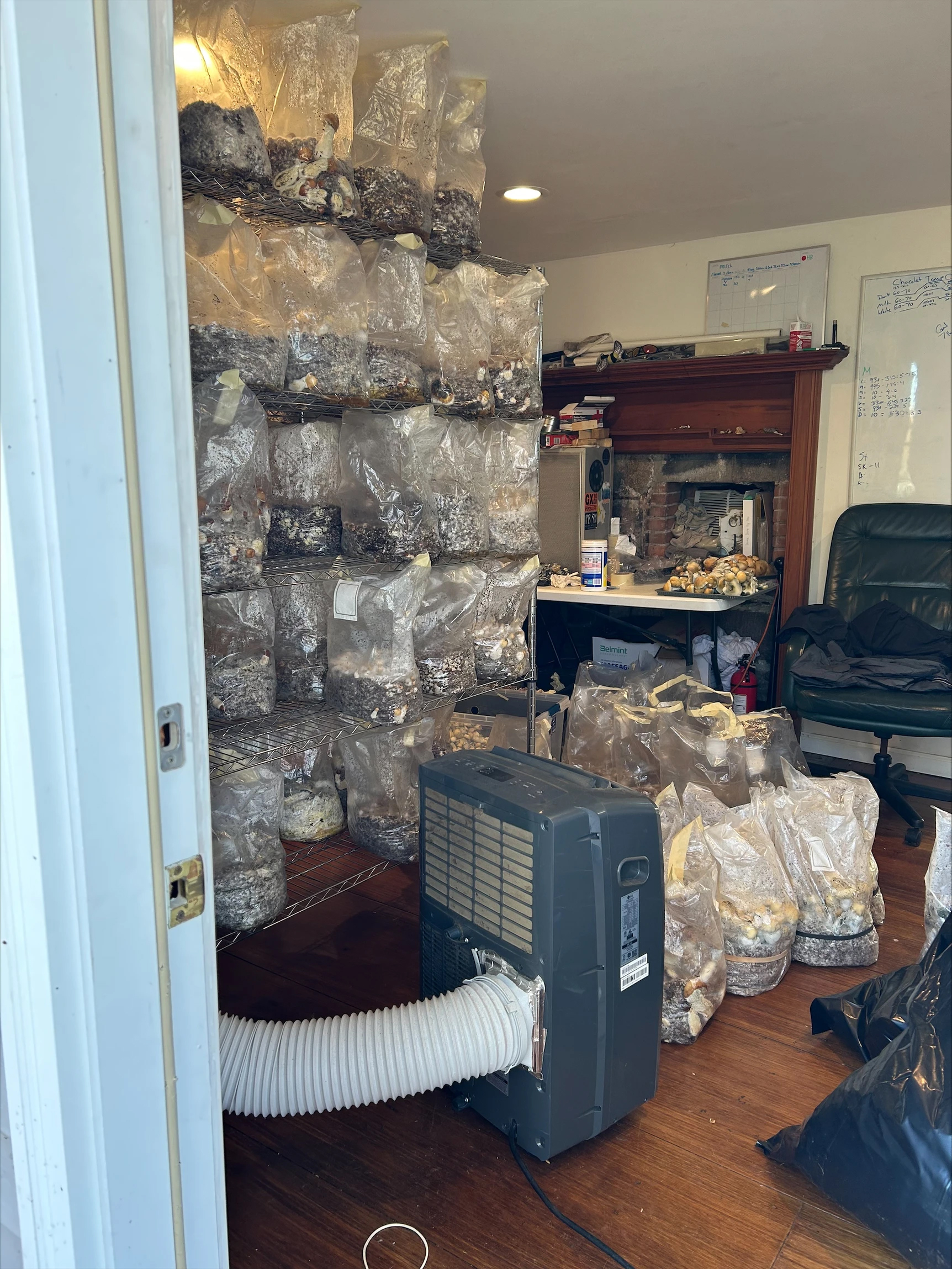 More than $8 million worth of illegal mushrooms found at Burlington ...