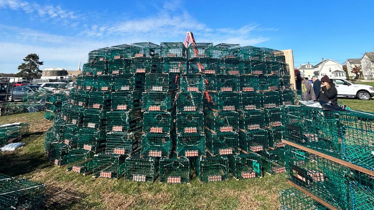 Volunteers begin assembling Stonington’s lobster trap tree for the ...
