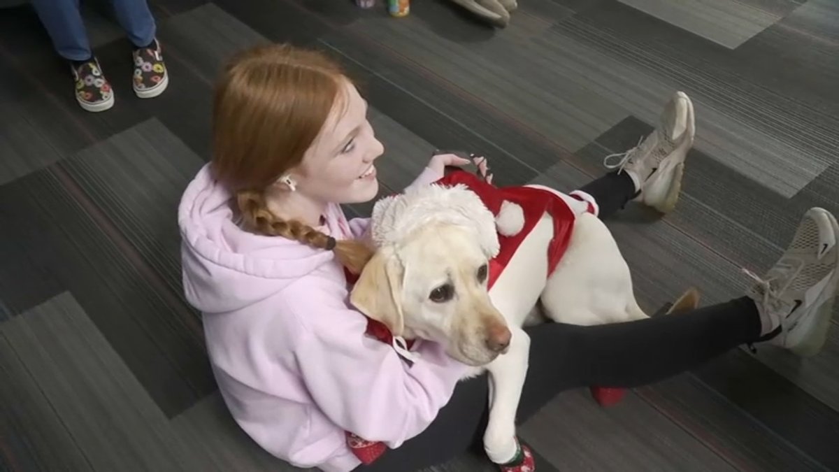Busy holiday travel underway at airports and comfort dogs greeted ...