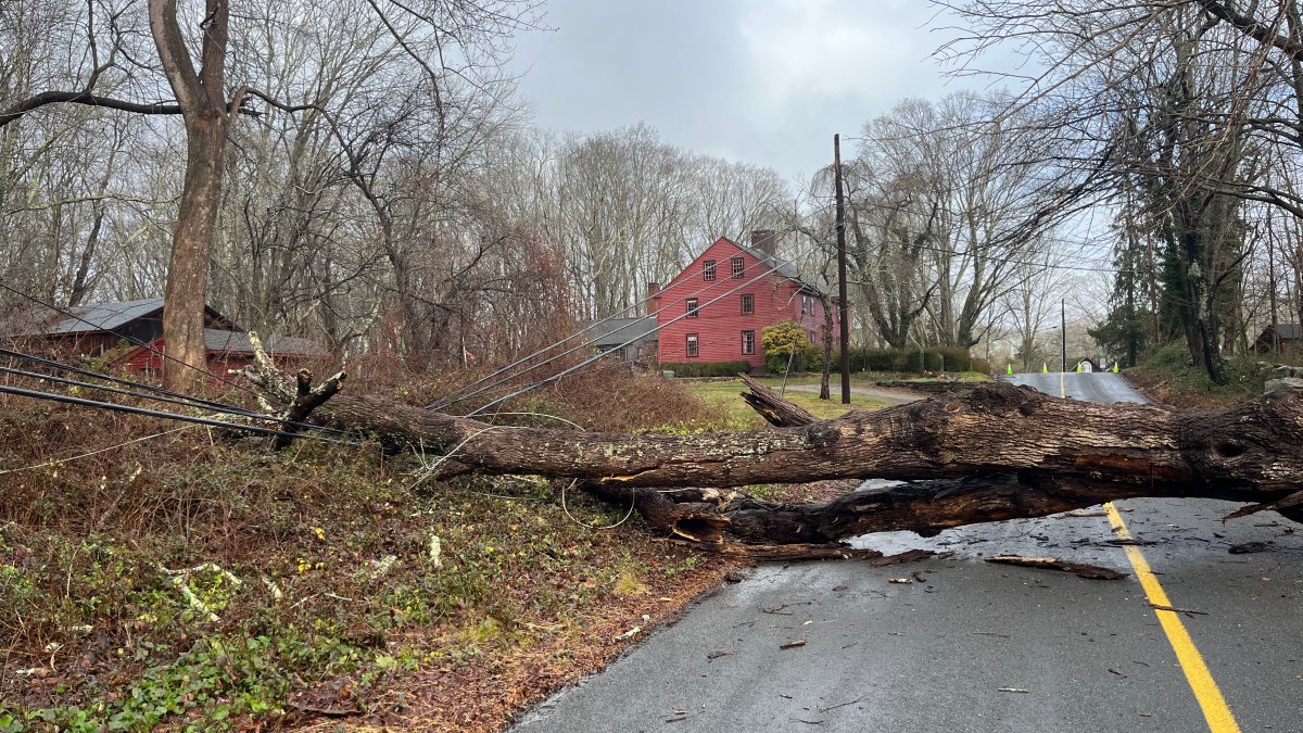 Downed trees and wires close roads across the state – NBC Connecticut
