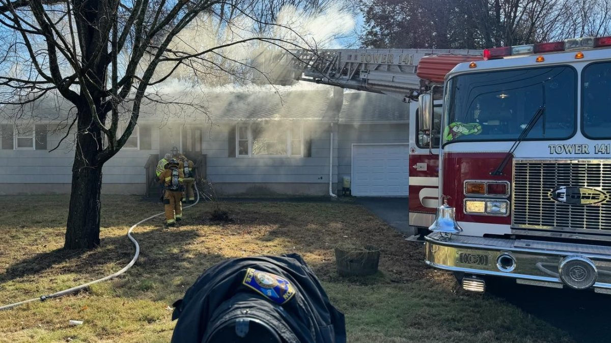 Multiple animals dead after fire at Vernon home – NBC Connecticut