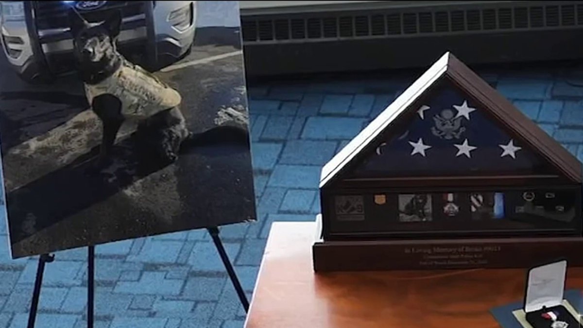 Final farewell to K9 Broko who died in the line of duty – NBC Connecticut