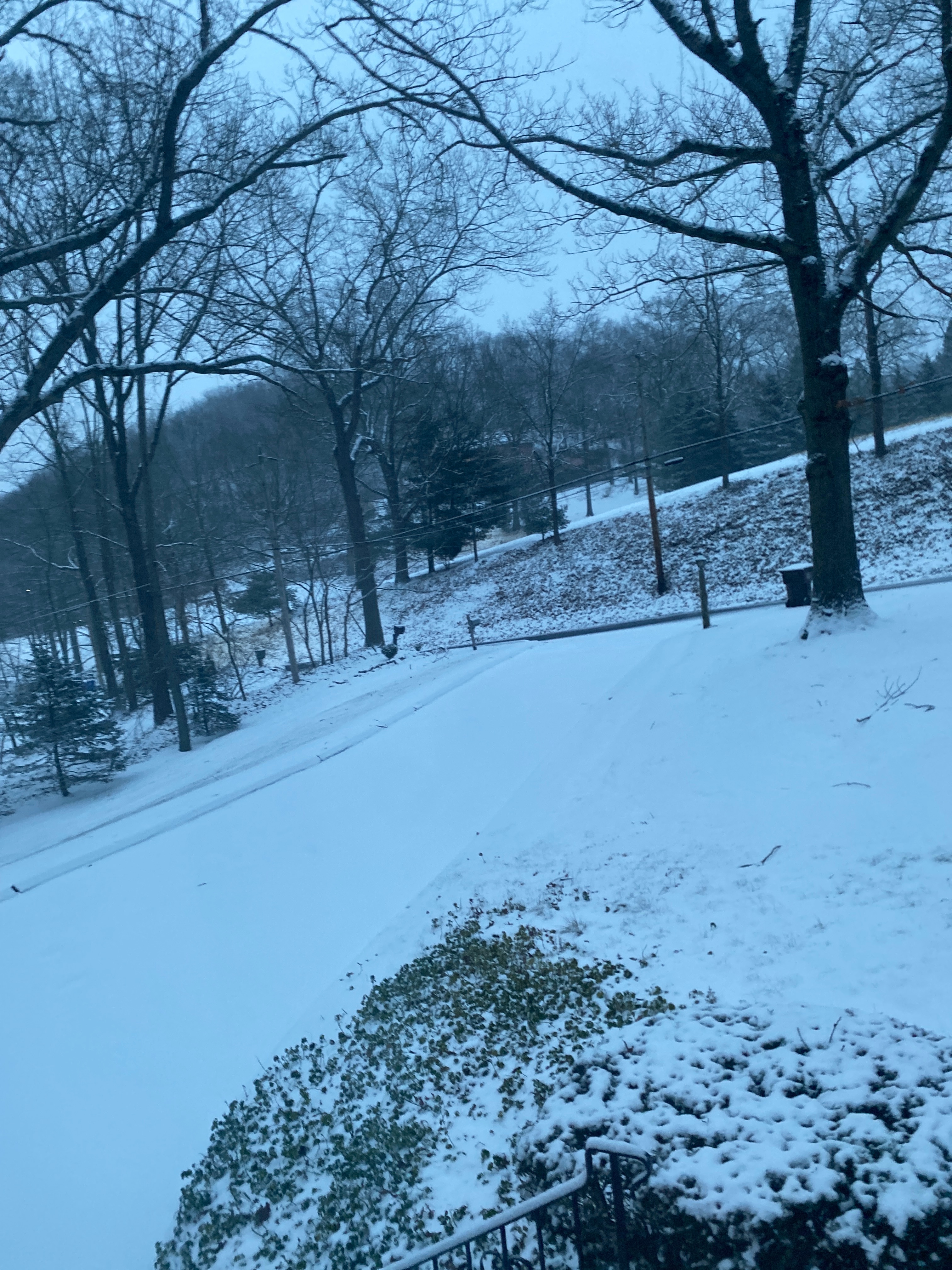 Photos: A look at snow across Connecticut – NBC Connecticut