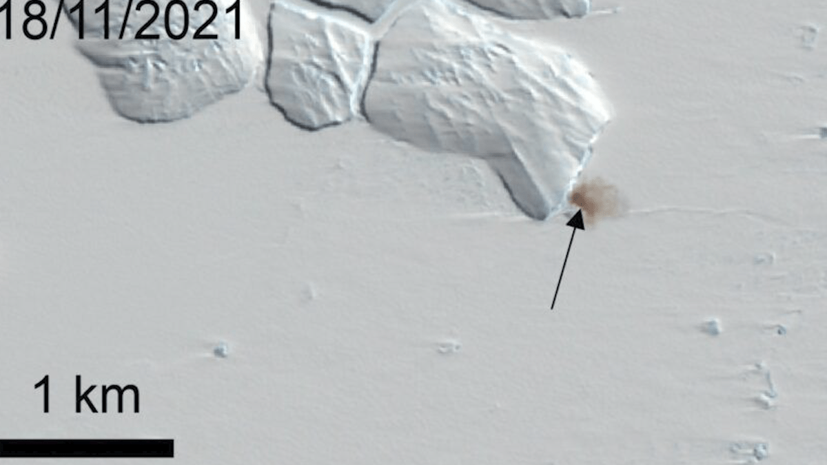 New colonies of emperor penguins discovered thanks to poop stains ...