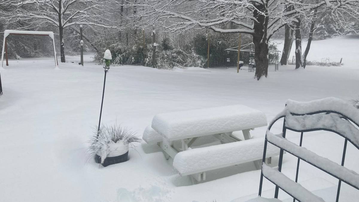 Town-by-town snow totals in Connecticut for weekend storm – NBC Connecticut