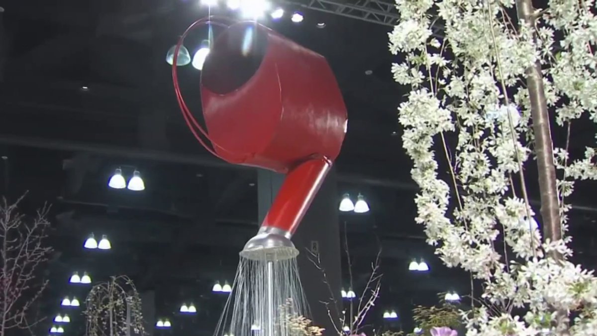 Large crowds at the 42nd CT Flower and Garden Show – NBC Connecticut