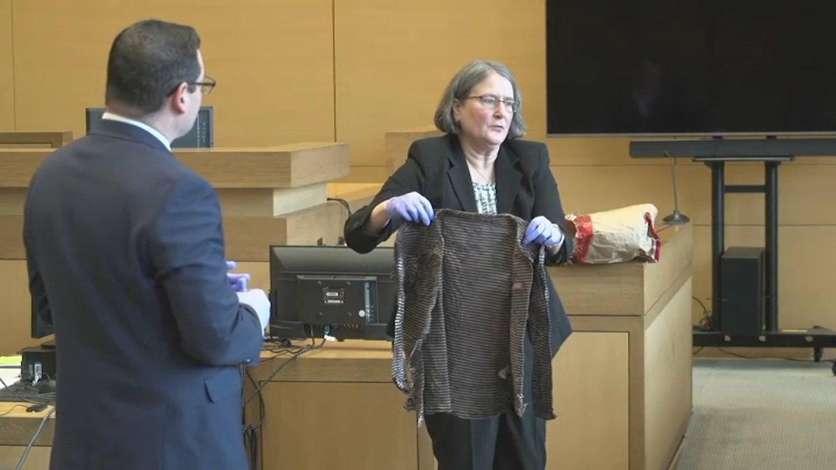 Confirming the presence of blood dominates day 15 testimony in Troconis ...