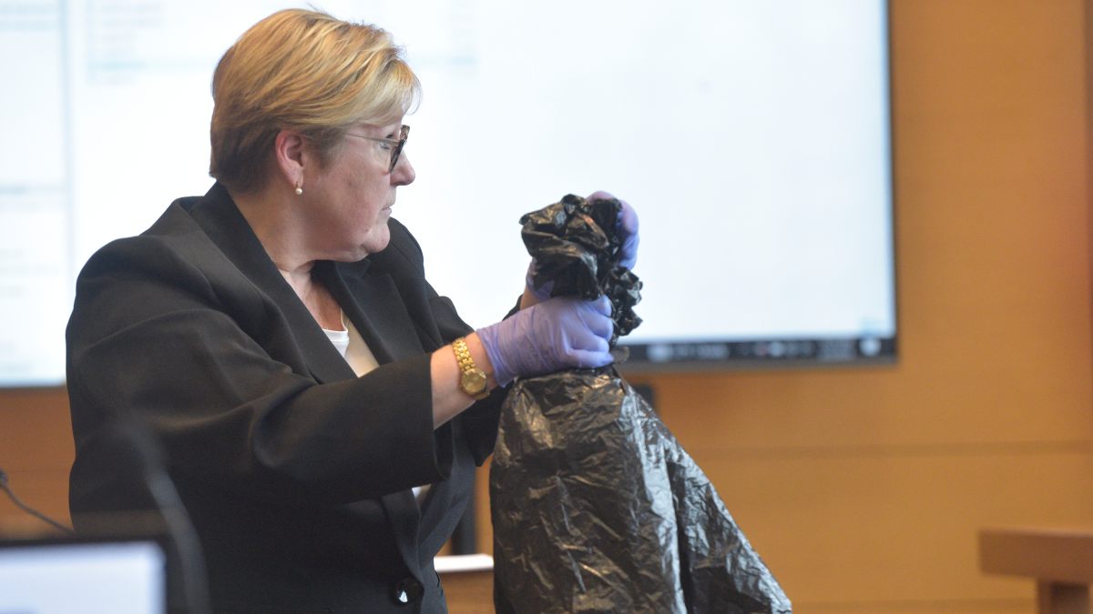 Troconis jury hears forensic testimony about hairs, potential blood ...