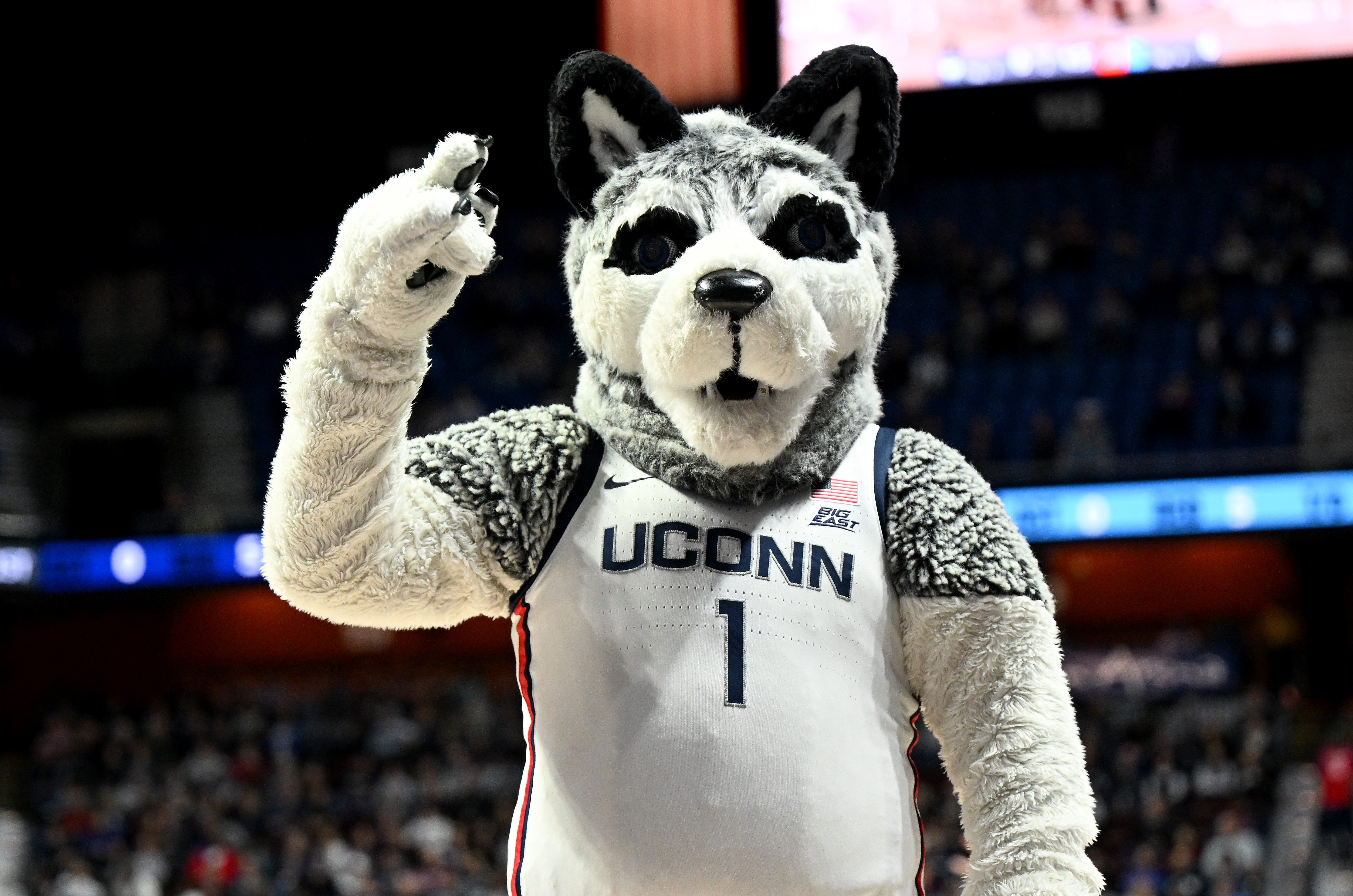 Every mascot in the 2024 men’s NCAA Tournament – NBC Connecticut
