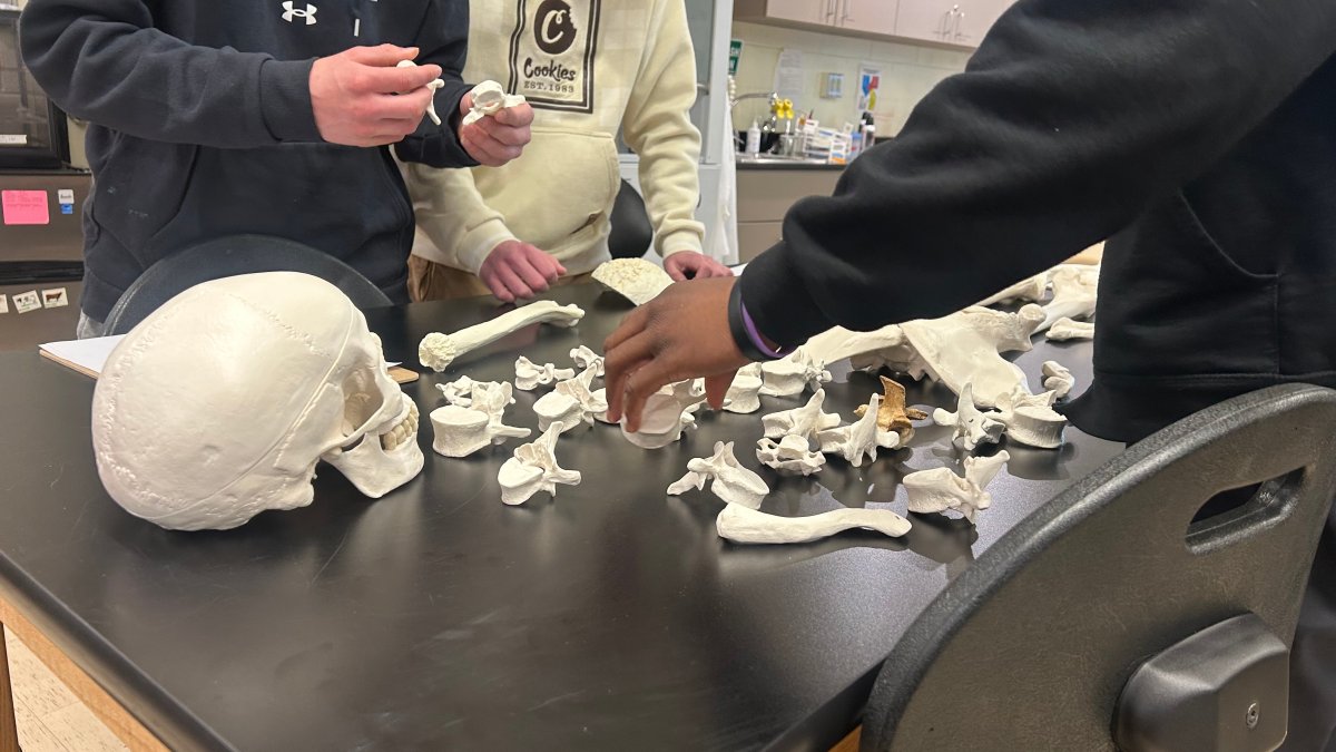 Hamden High School students learn about forensic science in a fun and ...