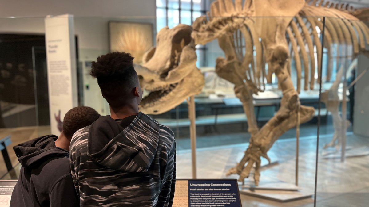 Yale Peabody Museum Reopens Following Renovations Admission Is Free
