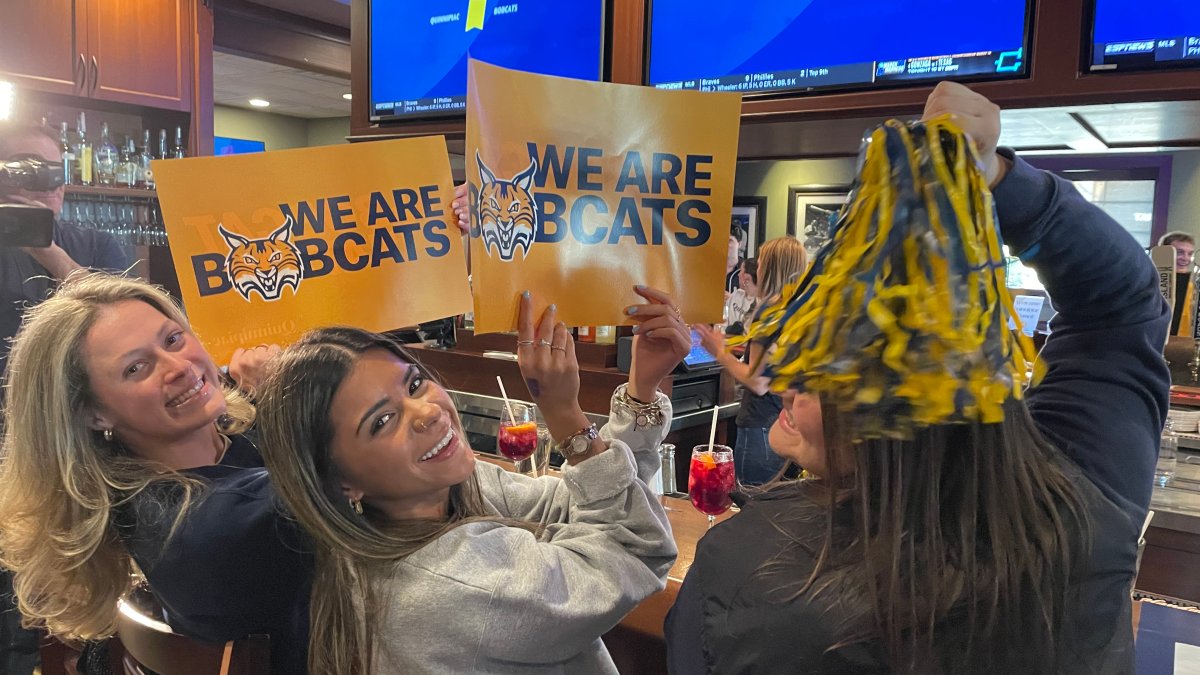 Quinnipiac men’s hockey overtime win thrills Bobcat hopefuls in Hamden ...