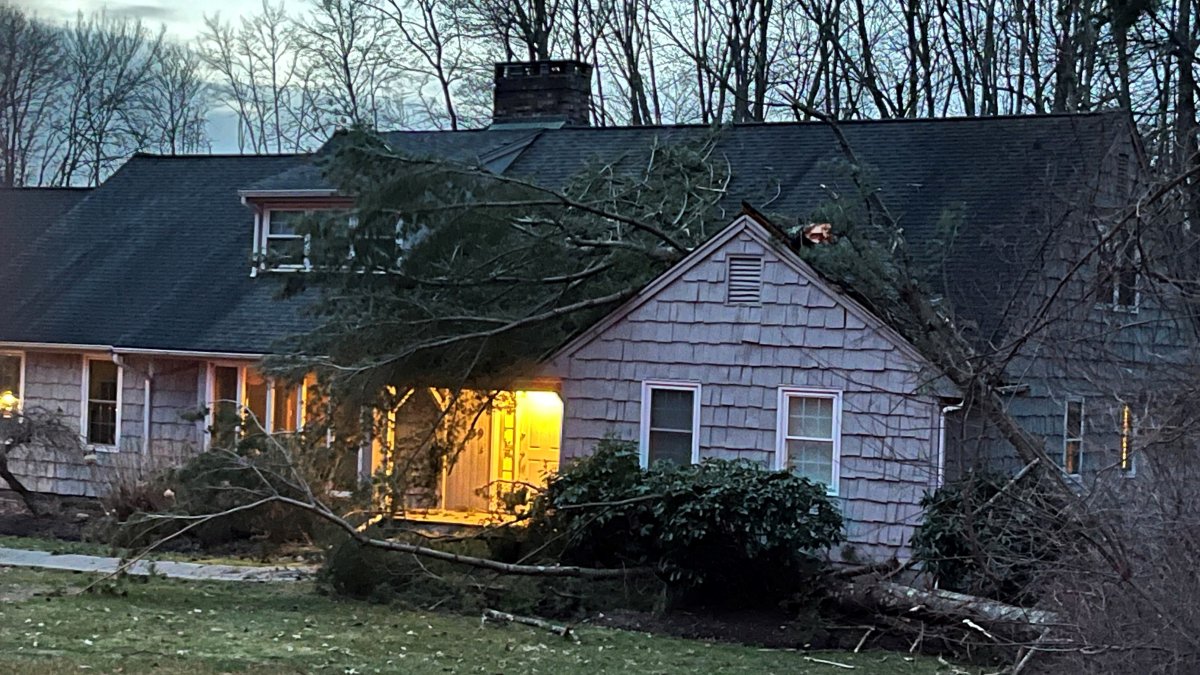 Tree comes down on house in Simsbury – NBC Connecticut