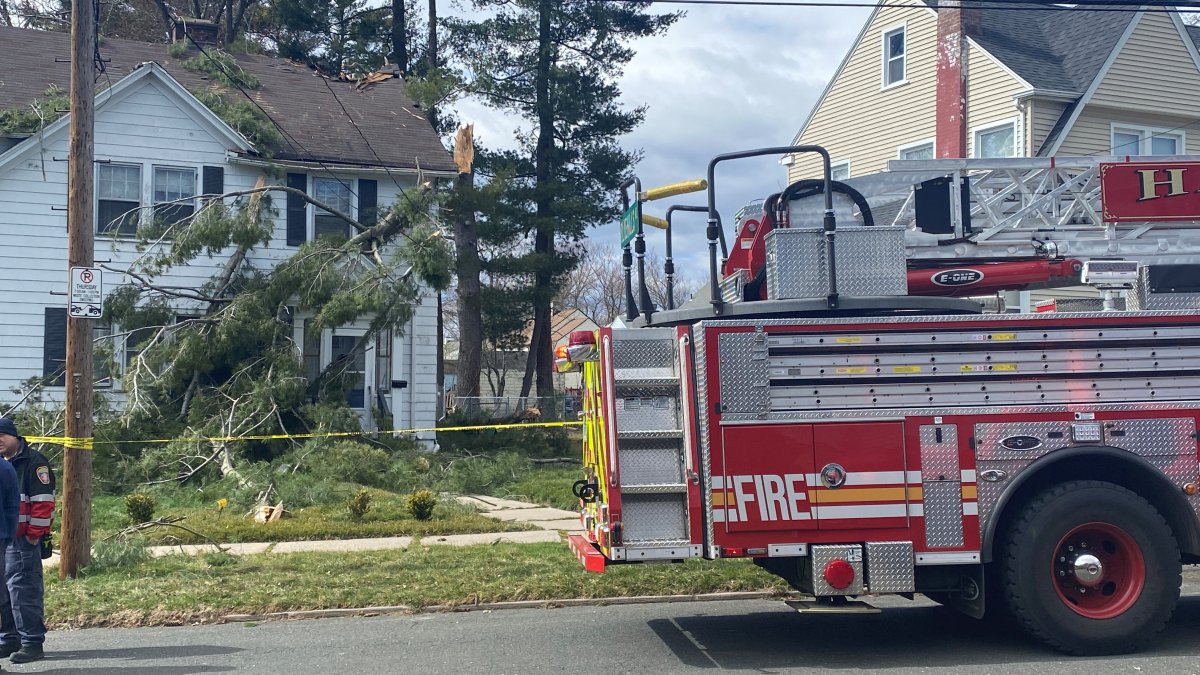 Tree falls on house in Hartford – NBC Connecticut