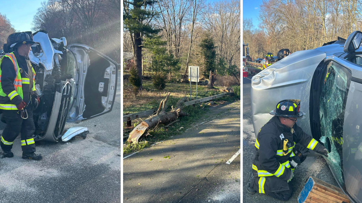 Tree limbs fall on top of cars in Fairfield and Southbury due to high ...