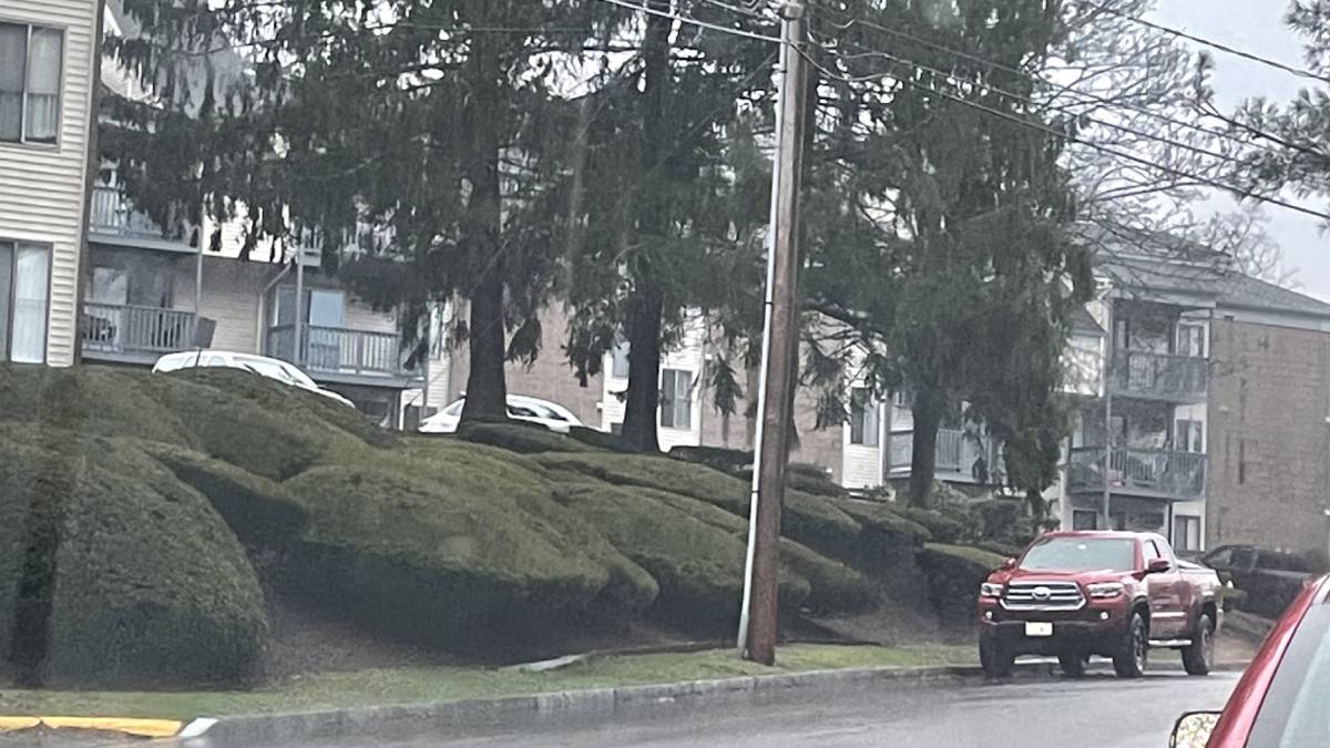 Man dead, woman critically injured in apparent attempted murder-suicide ...