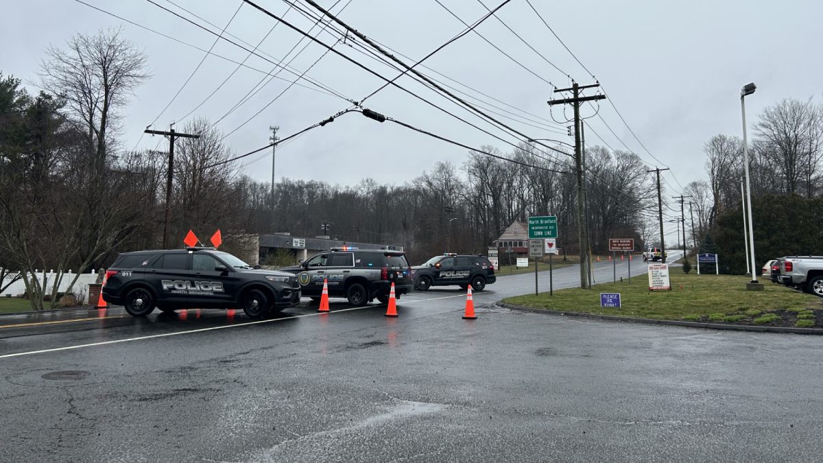 Man killed in hit-and-run on Route 80 in North Branford – NBC Connecticut