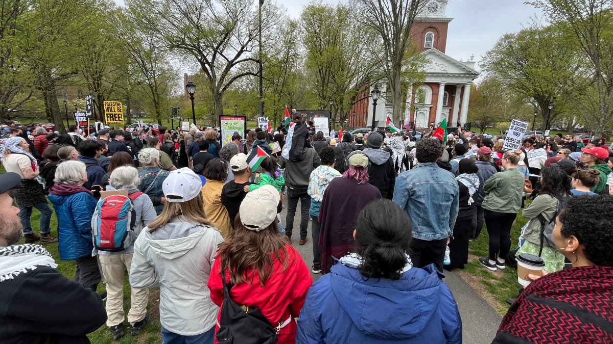 Over 1,000 people come out to pro-Palestinian protest in New Haven ...