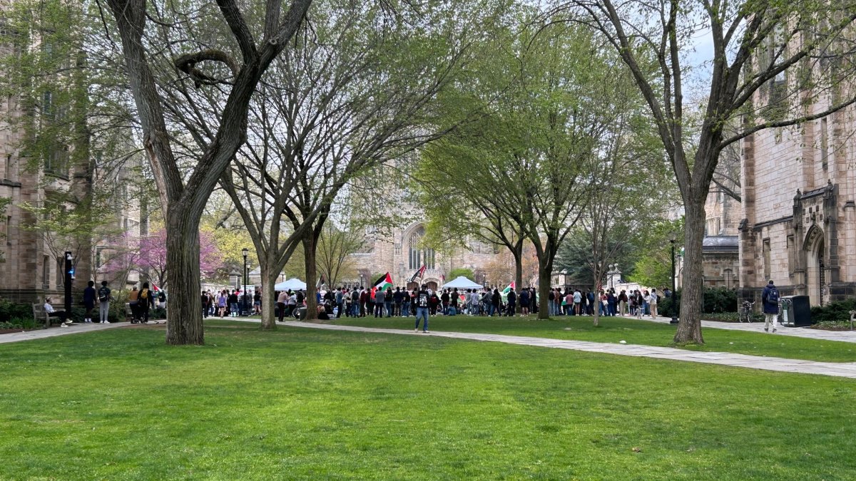 More pro-Palestinian protests take place in Conn., including on college ...