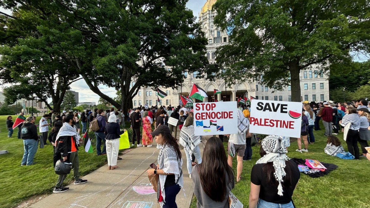 Following deaths in Rafah, pro-Palestinian rally held outside State ...