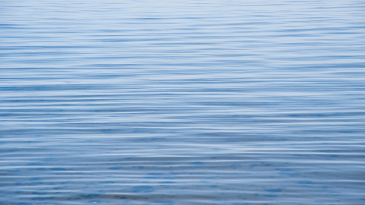 Swimming area at Hop Brook Lake closed after heavy rain – NBC Connecticut