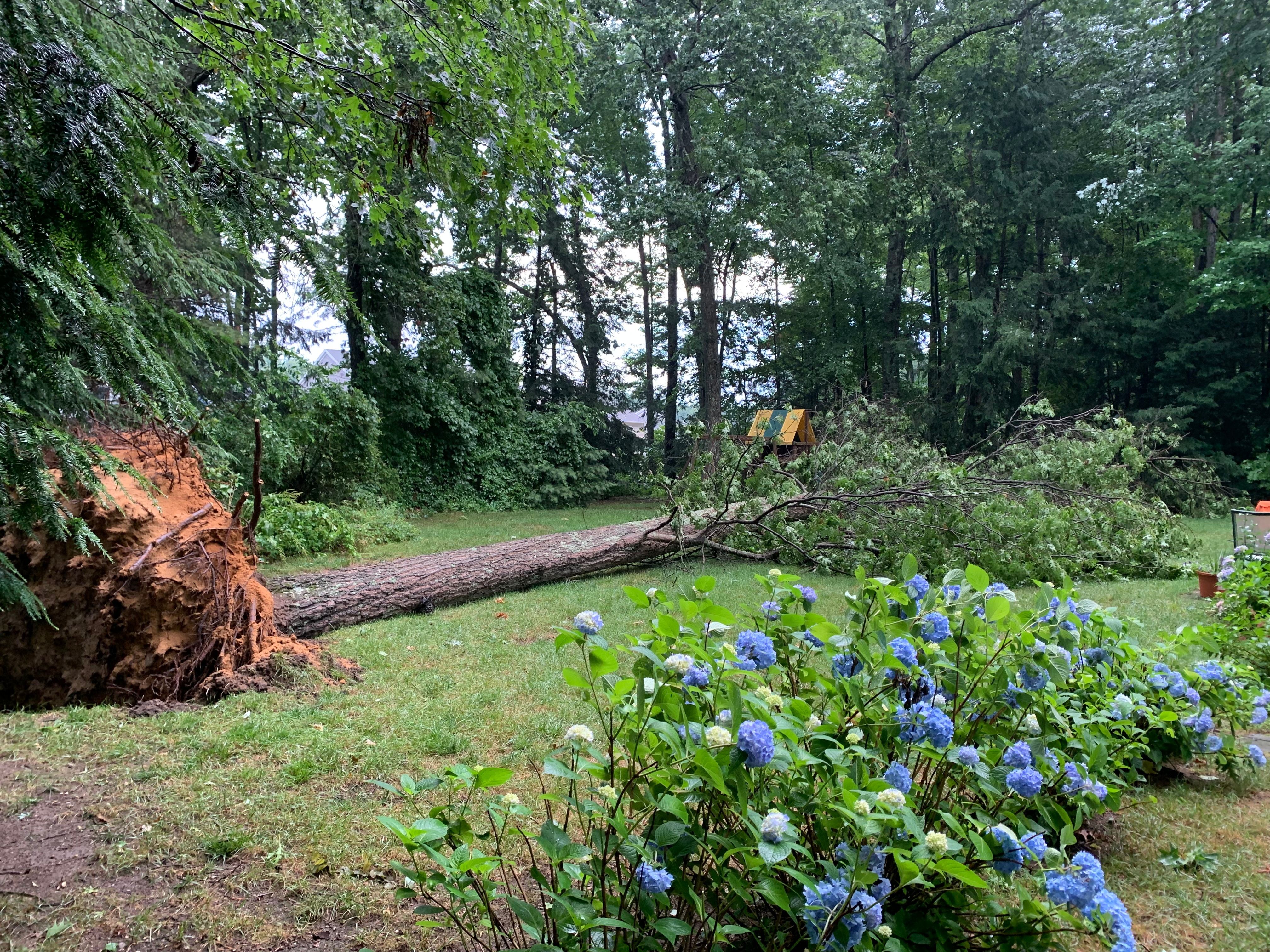 Photos: Intense storms cause damage across Connecticut – NBC Connecticut
