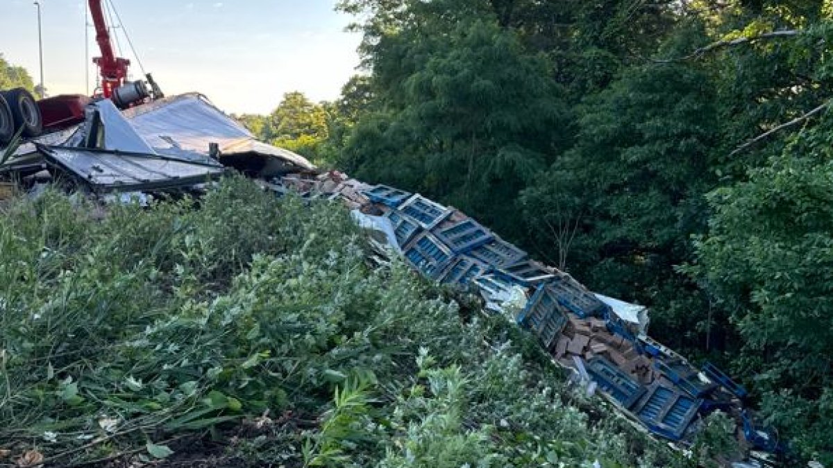 Over 30,000 pounds of cheese to be destroyed as result of Cheshire ...