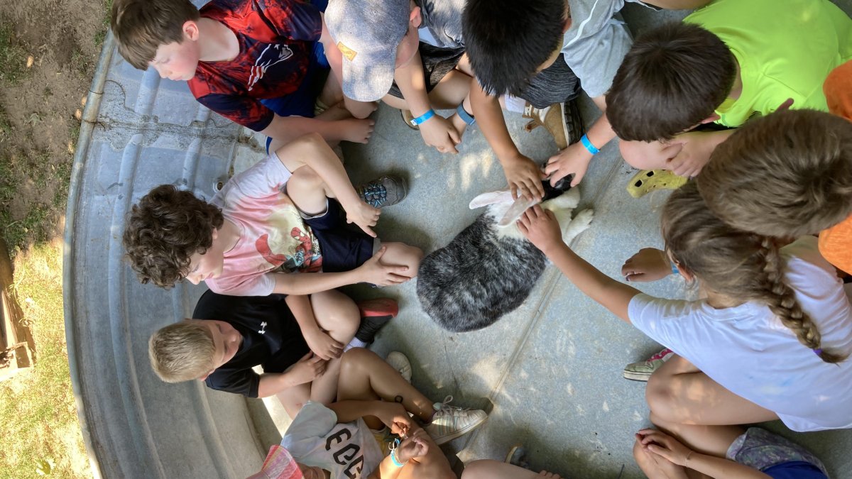 Kids at summer camp cope with scorching heat with water and the shade ...