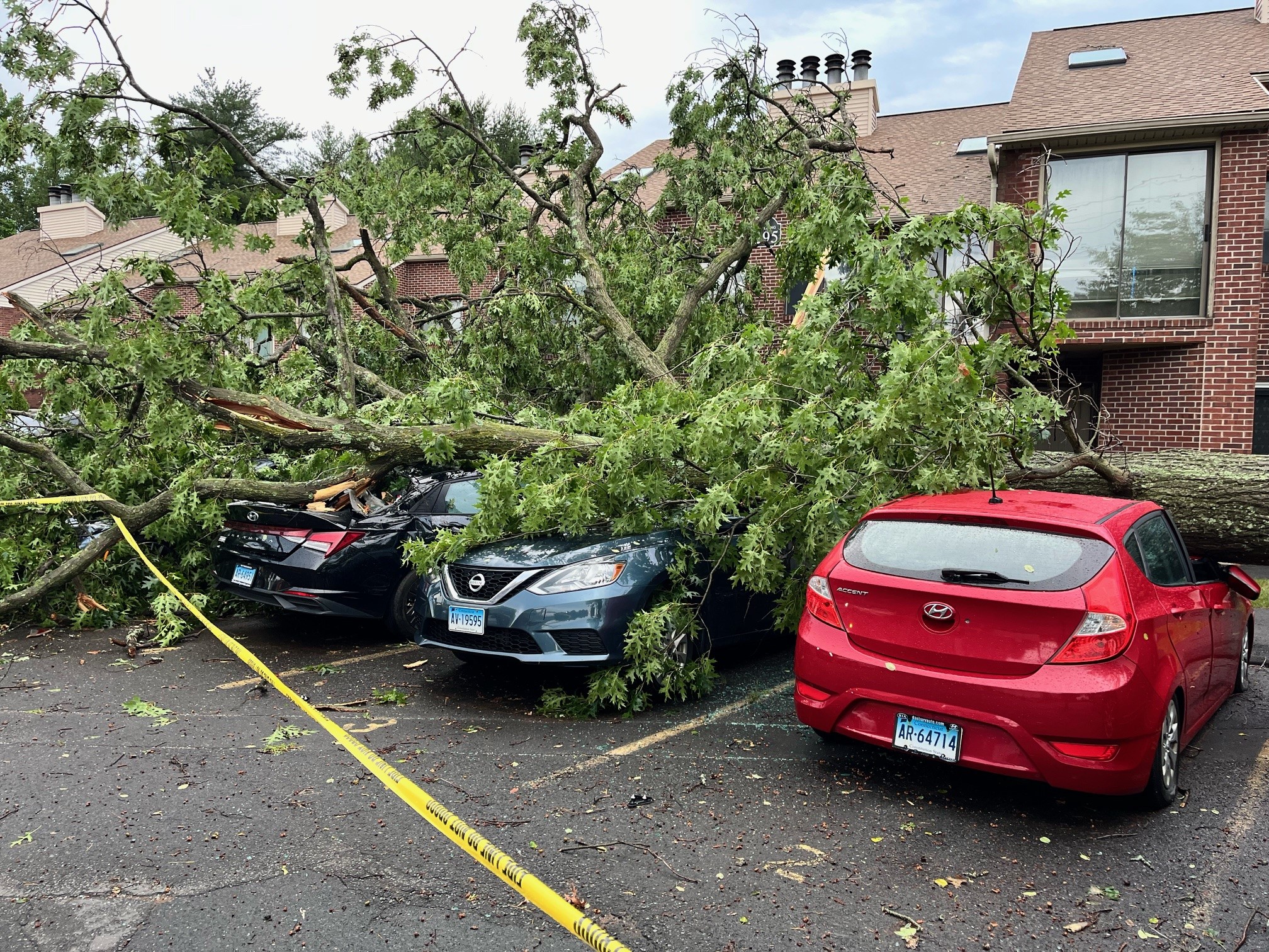 Photos: Intense storms cause damage across Connecticut – NBC Connecticut