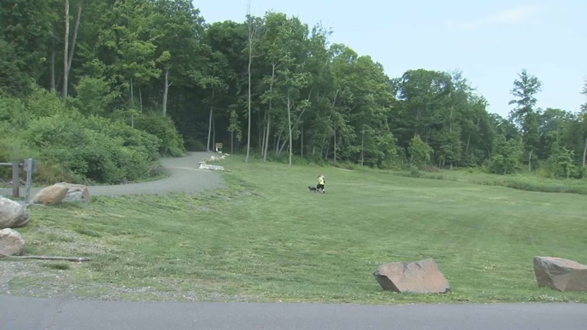 Dog rescued from Sleeping Giant State Park following snake bite – NBC ...