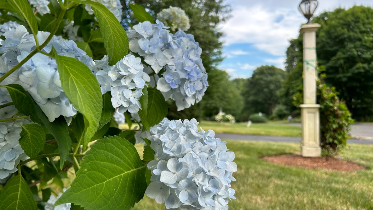 Kevin Gaiss - Journalist Profile - Intelligent Relations