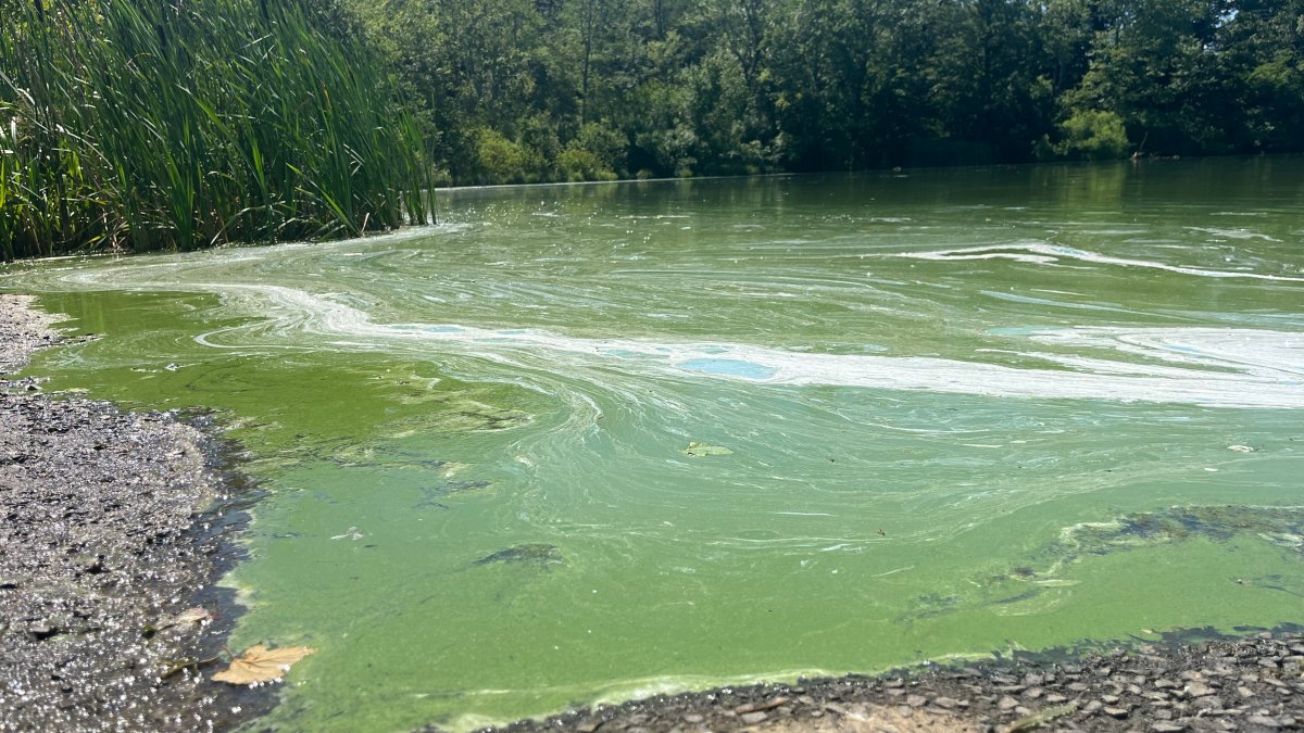 DEEP continuing to monitor algae blooms, bacteria levels in CT state ...