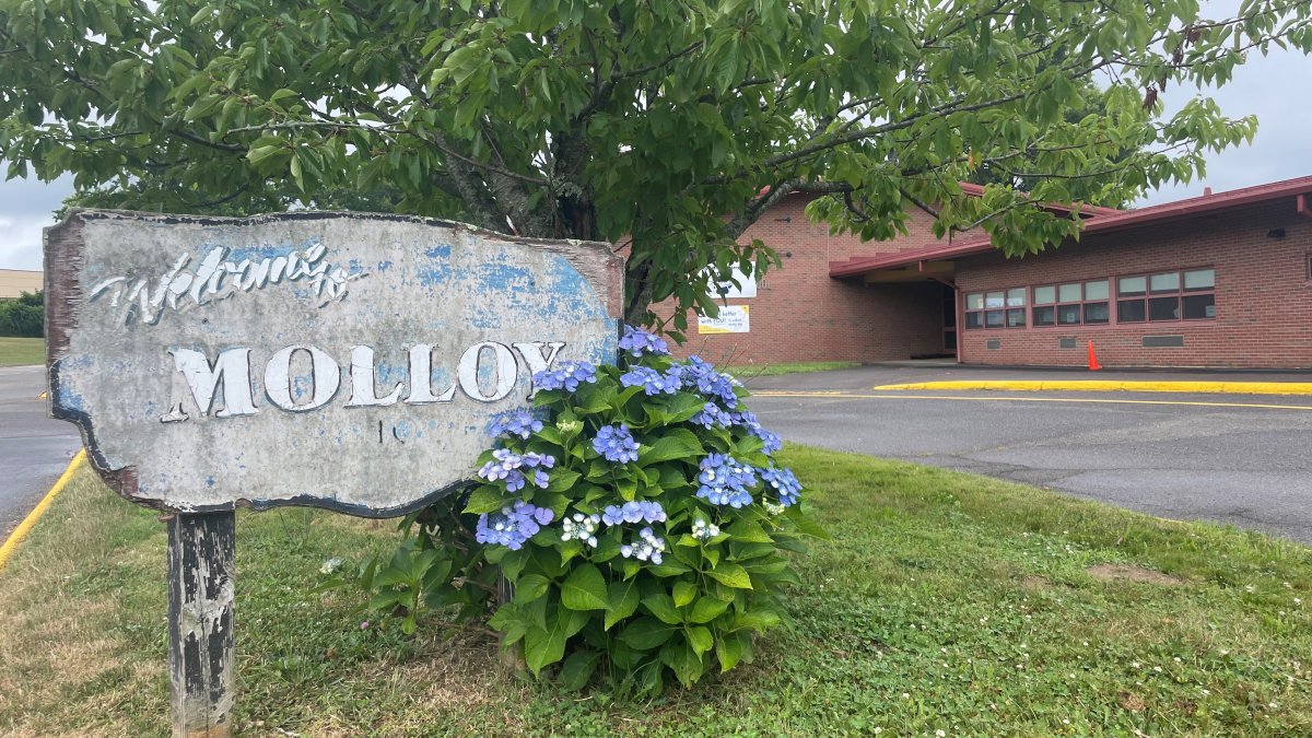 West Haven leaders plan the city’s first community center – NBC Connecticut