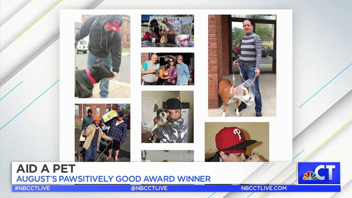 CT LIVE!: August’s PAWSitively Good Award Winner – Aid a Pet – NBC ...