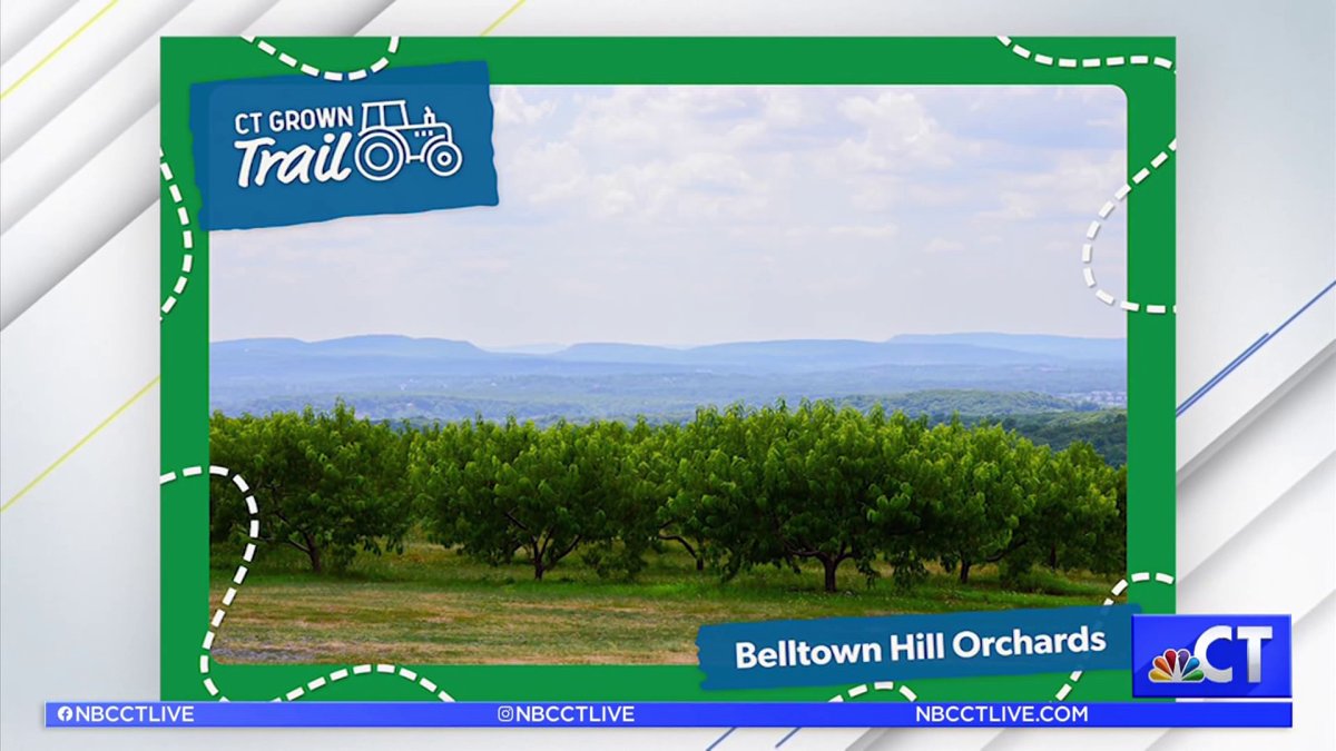 CT LIVE!: CT Grown Trail – NBC Connecticut