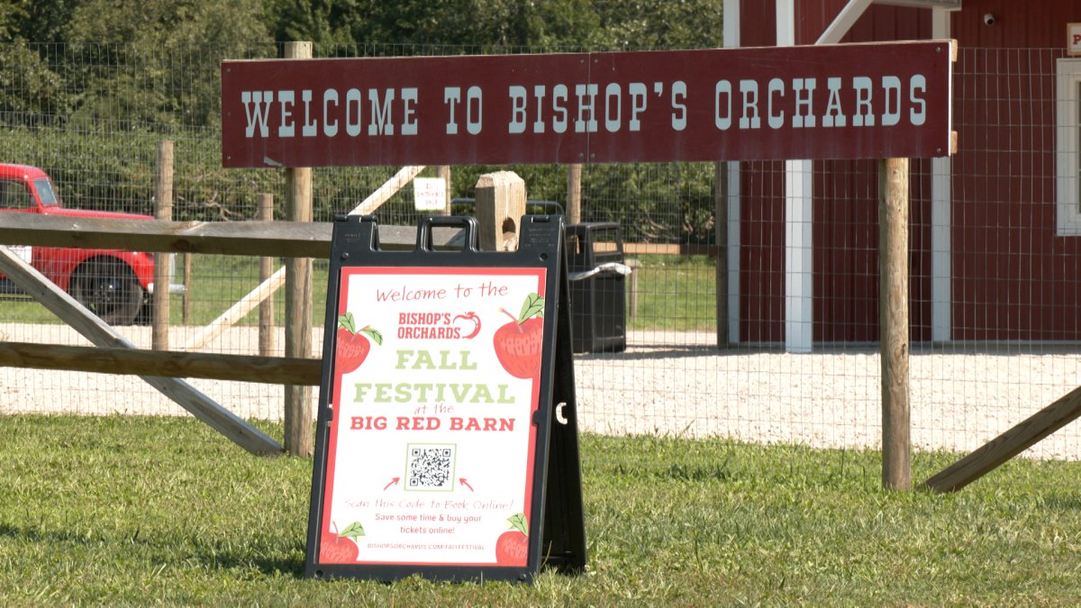 Fall activities in full swing at Bishop’s Orchards in Guilford – NBC ...