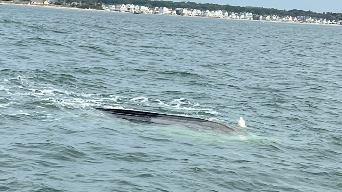 Man rescued after being stranded in Long Island Sound for four hours ...