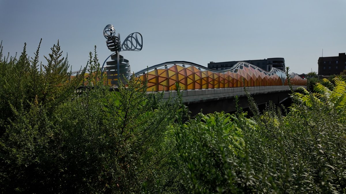 New Britain Beehive Bridge Festival back for fifth year – NBC Connecticut