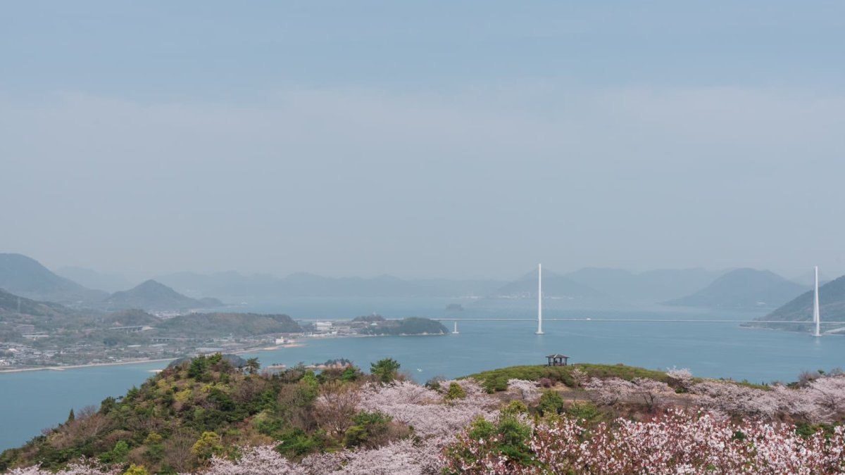 40-year-old left the U.S. to live on a ‘stunning island’ in Japan for ...