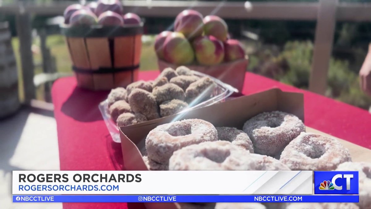 CT LIVE!: Rogers Orchards – NBC Connecticut