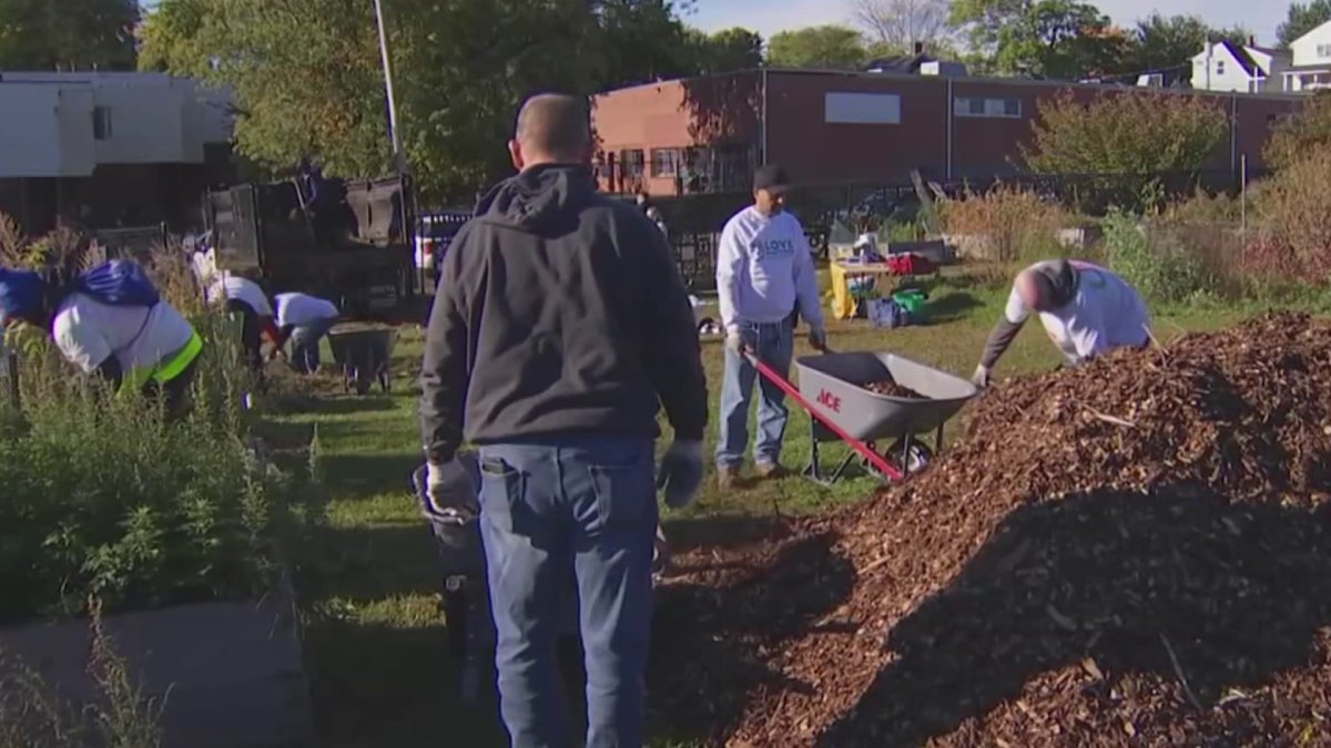 Citywide cleanup of Hartford’s green spaces underway for Love Hartford ...