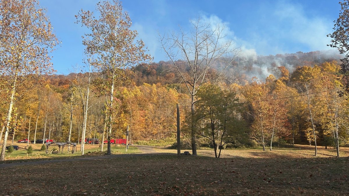 Officials are monitoring over 50 brush fires burning across the state ...